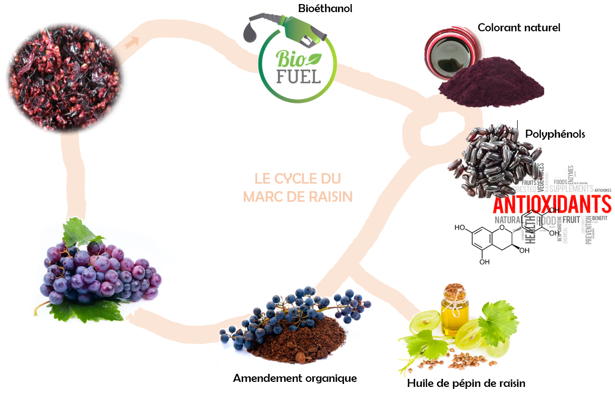 A PROPOS DE NOUS – DISTILLERIE COOPERATIVE D'ARZENS